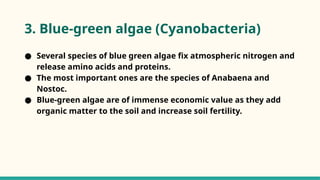 Science project biofertilizers botany ppt | PPT