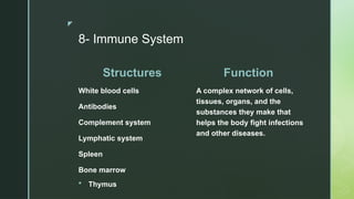 The 11 Human Systems With The Main Structures And Their Function | PPTX