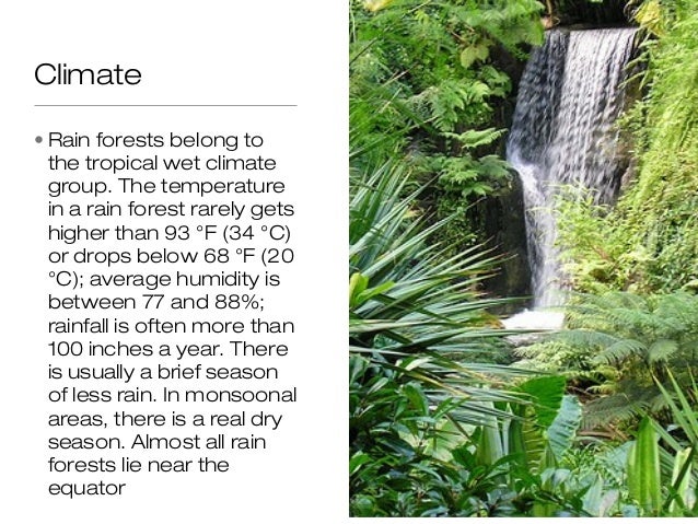 Tropical Rainforest Biome Precipitation Tropical Rainforest Biome Precipitation