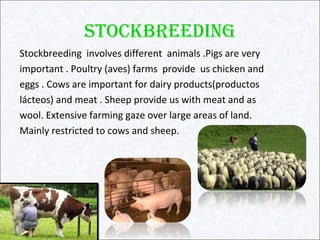 Science project andrea 2 | PPT