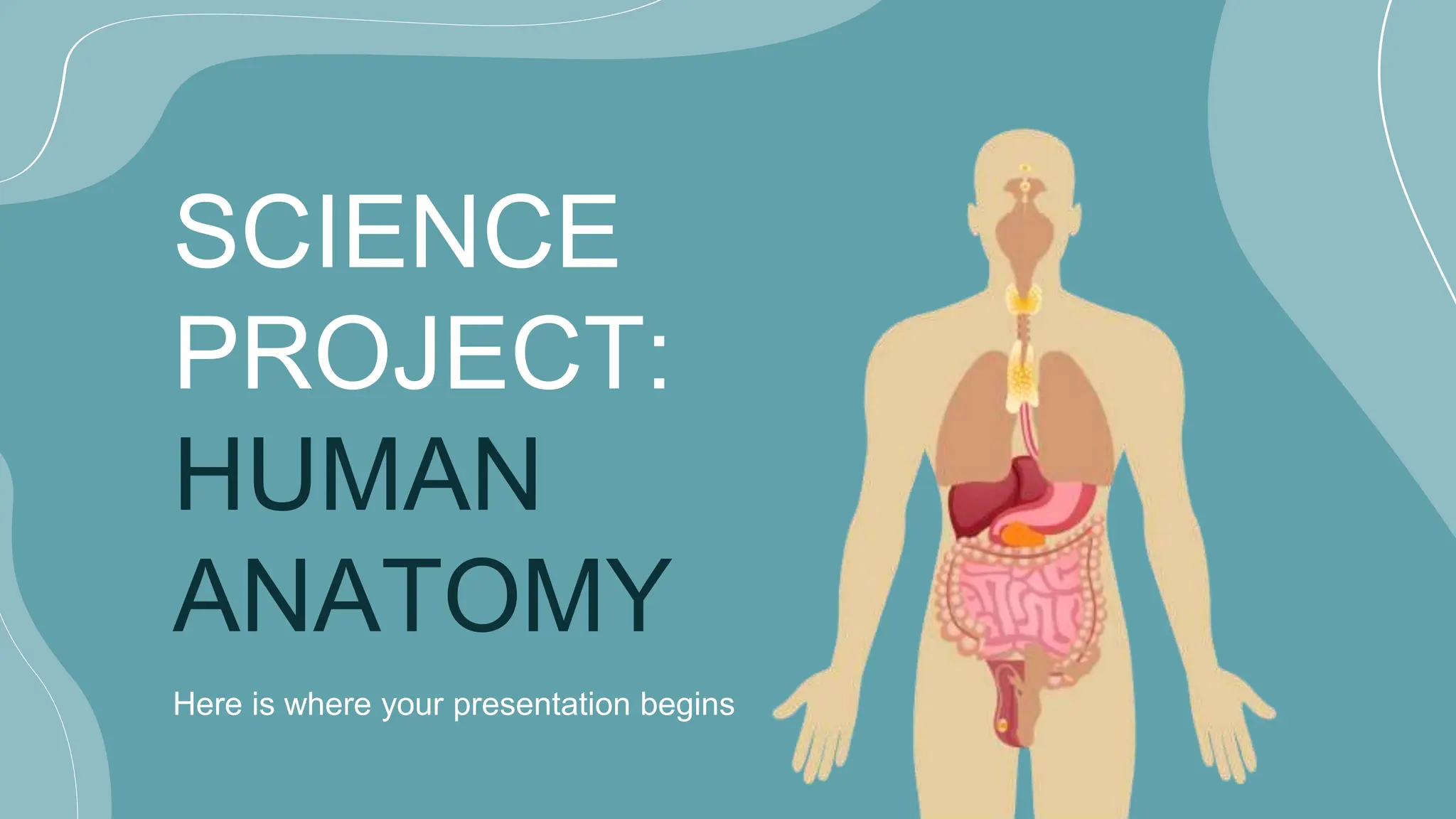 Science Project_ Human Anatomy by Slidesgo.pptx | Geography | Science