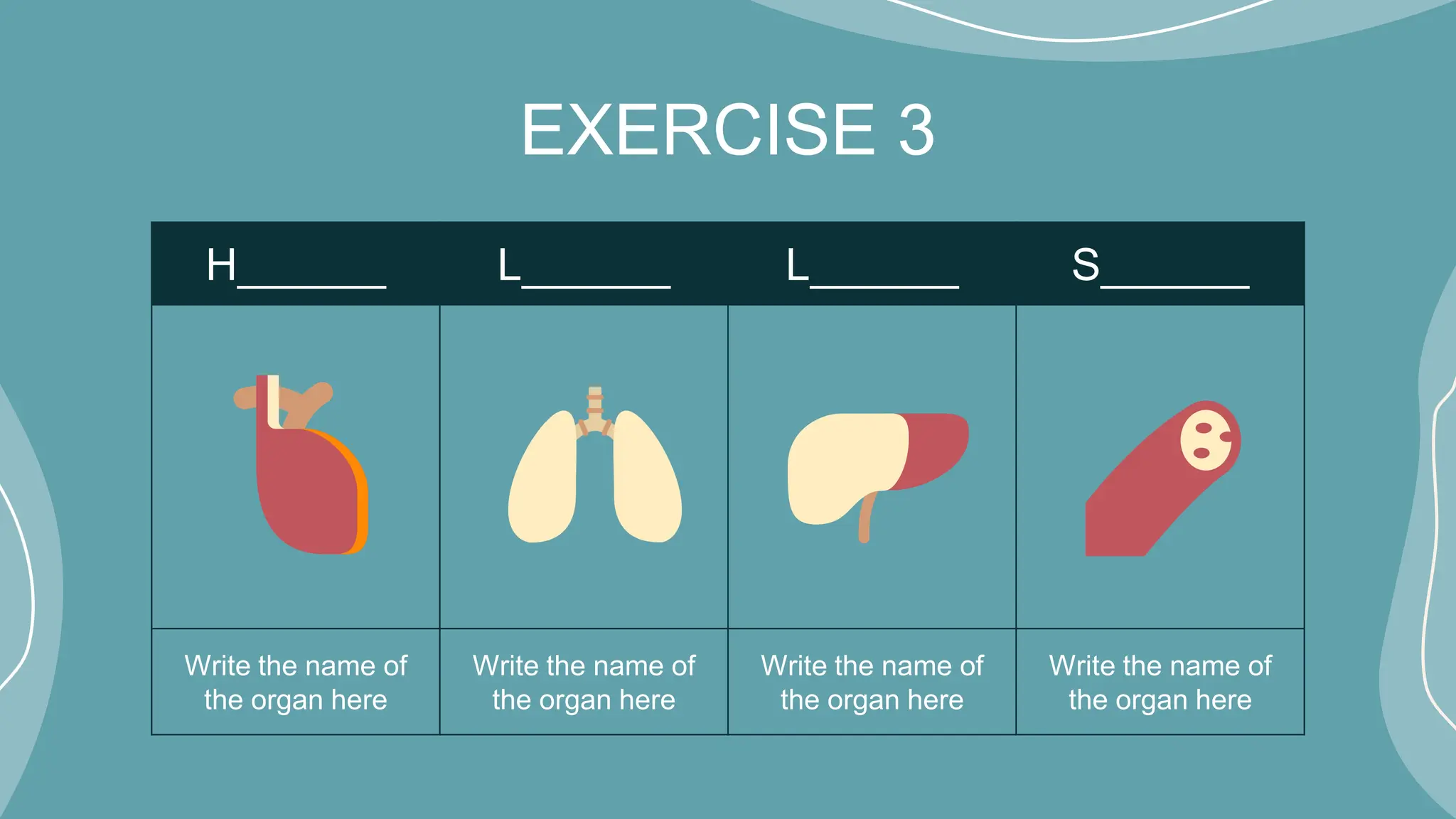 Science Project_ Human Anatomy by Slidesgo.pptx | Geography | Science