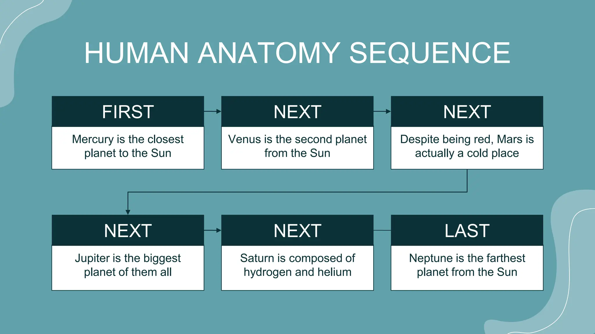 Science Project_ Human Anatomy by Slidesgo.pptx | Geography | Science