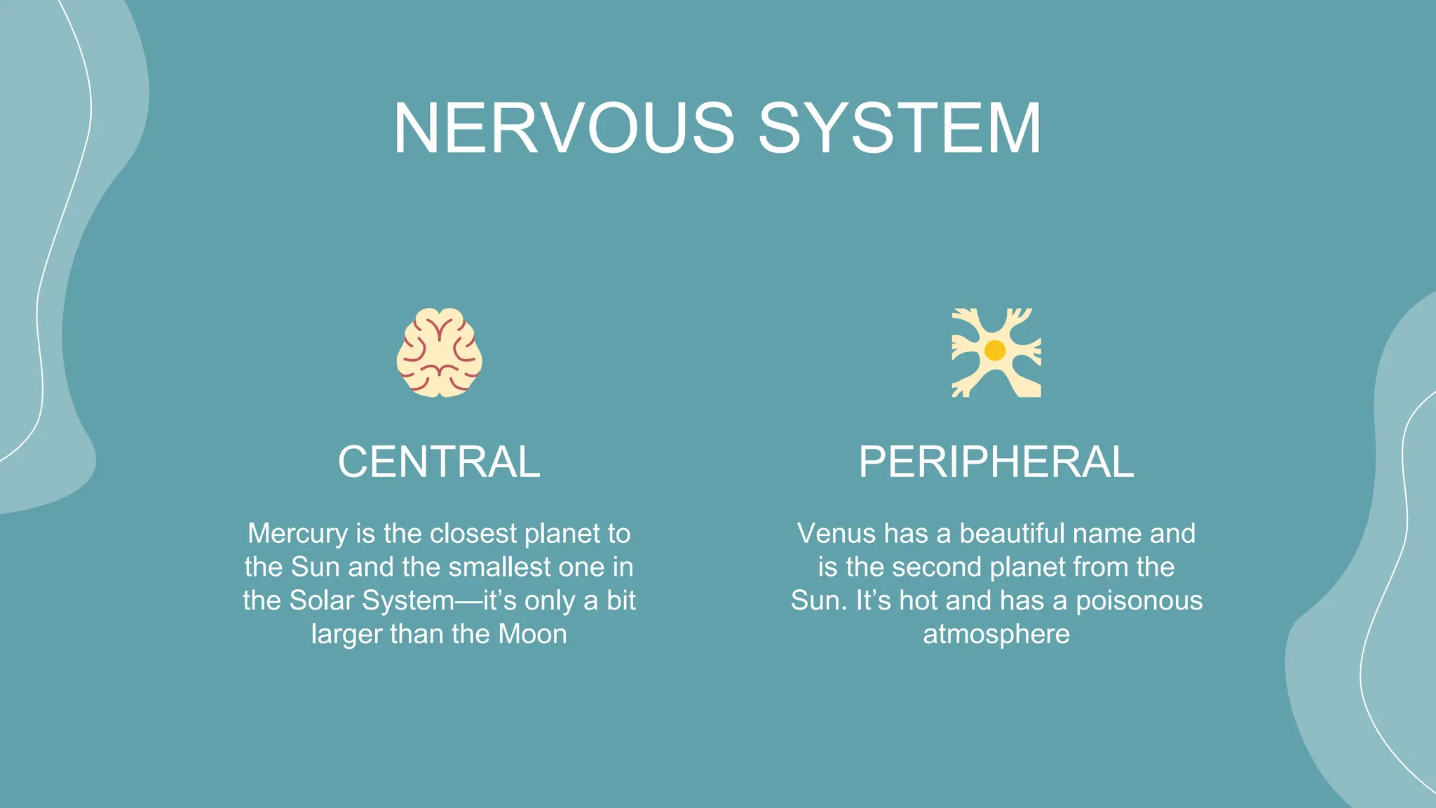 Science Project_ Human Anatomy by Slidesgo.pptx | Geography | Science