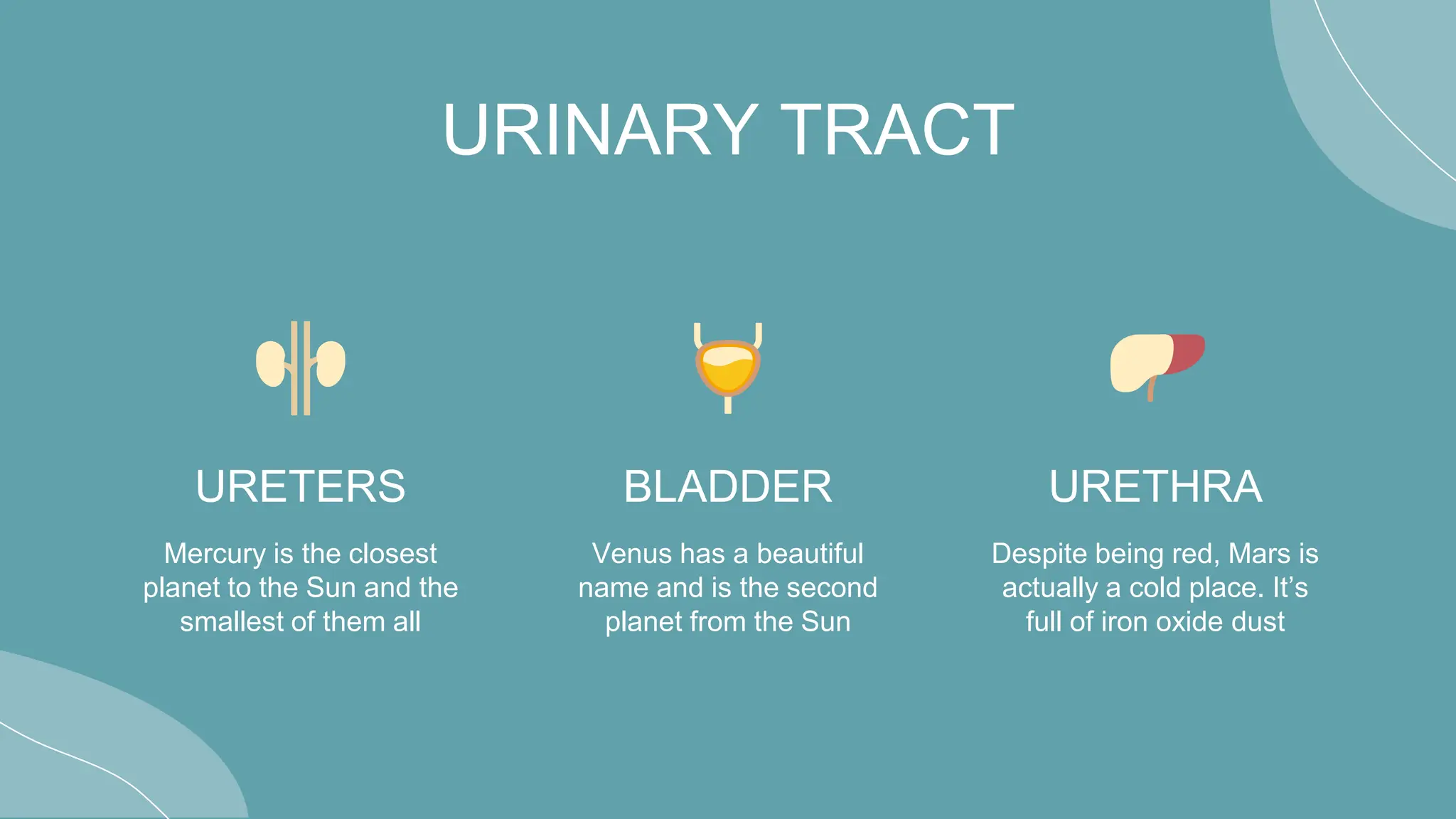 Science Project_ Human Anatomy by Slidesgo.pptx | Geography | Science