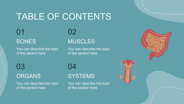 Science Project_ Human Anatomy by Slidesgo.pptx