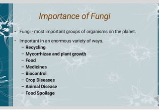 scienceproject_original.pdf