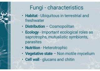 scienceproject_original.pdf