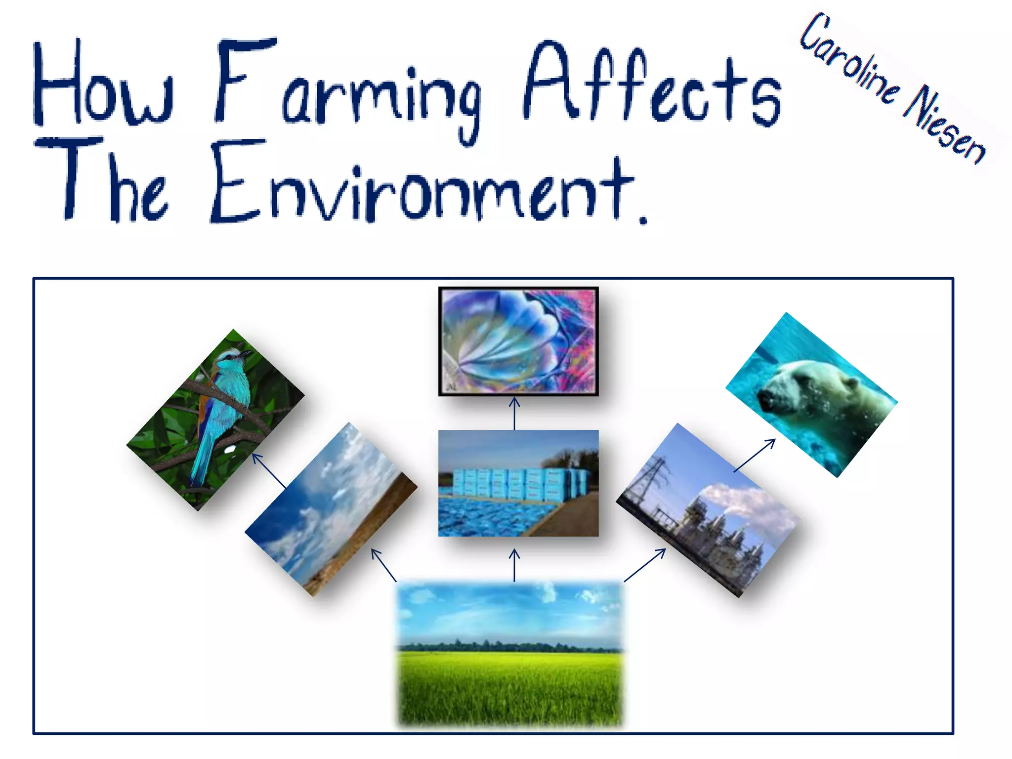 How Farming Affects The Environment Wiki PowerPoint | PPTX