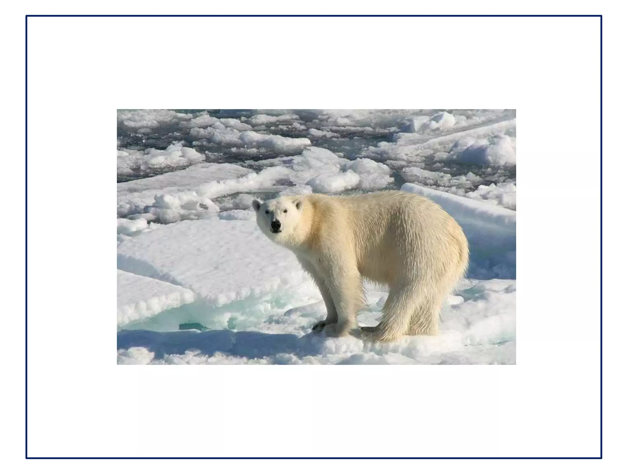 How Farming Affects The Environment Wiki PowerPoint | PPTX