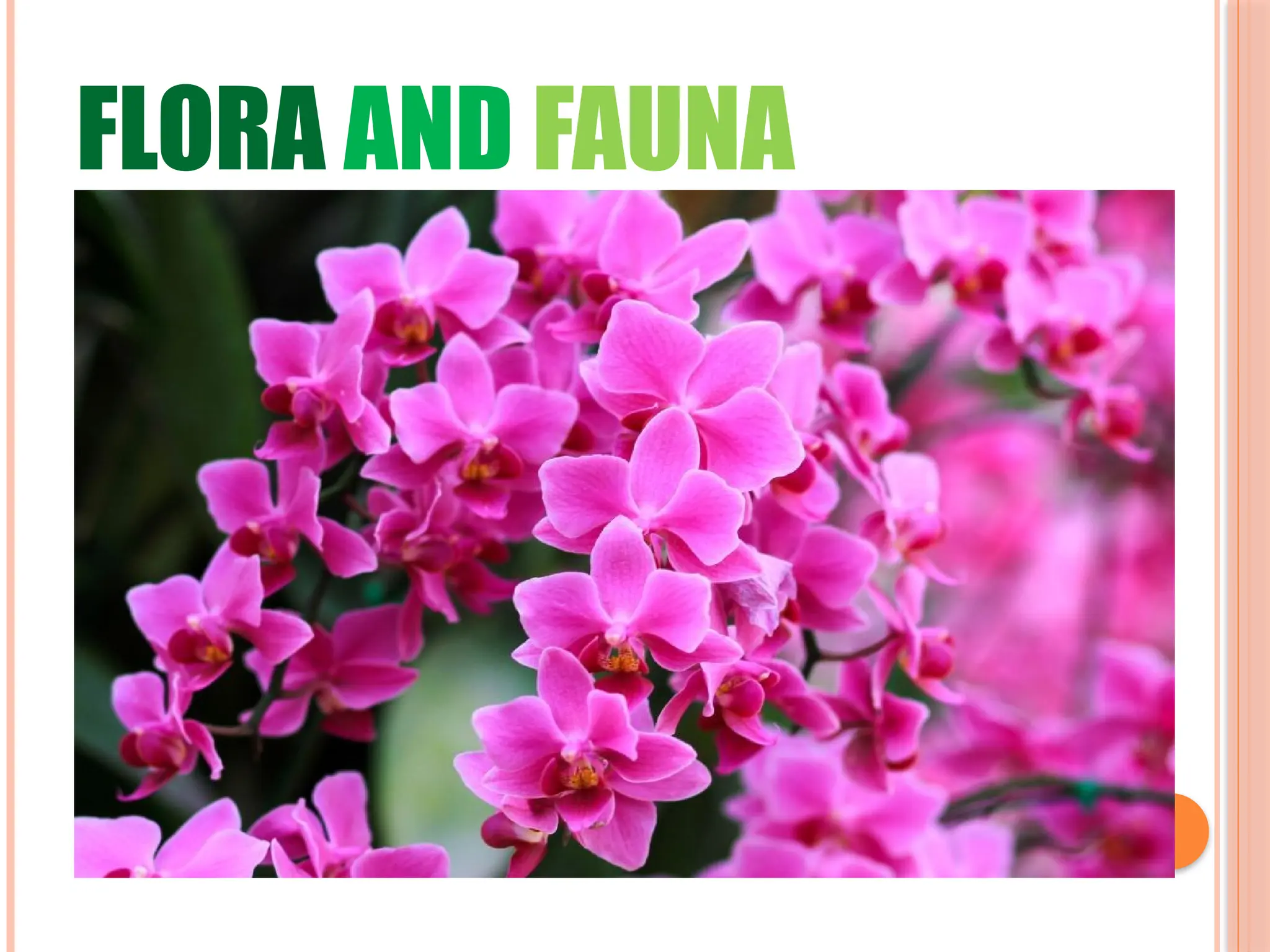 science project work for school students and college students | PPTX