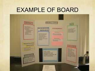 Scienceprojhowto | PPTX | Gardening | Home & Garden