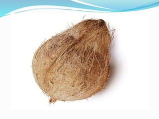 Science puzzle | PPT