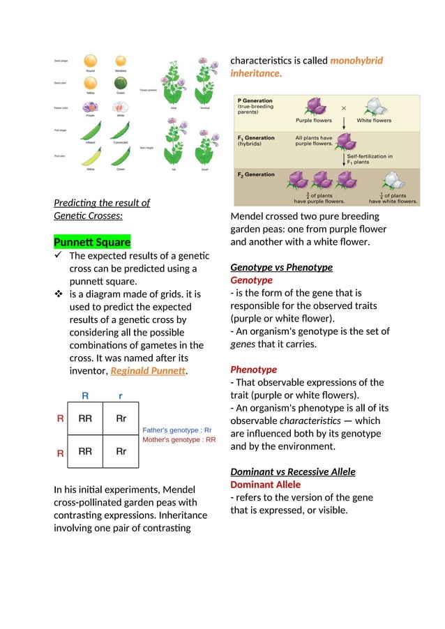 G9 SCIENCE_QUARTER 1 PART 1 REVIEWER HIGHSCHOOL.docx