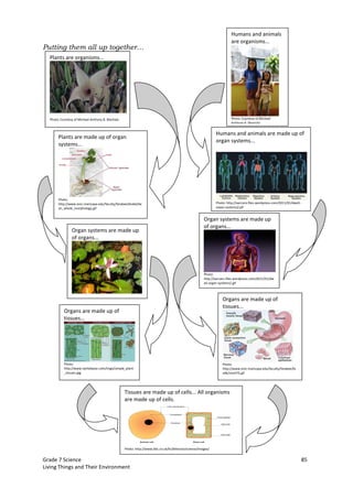 K TO 12 GRADE 7 LEARNING MATERIAL IN SCIENCE (Q1-Q2) | PDF