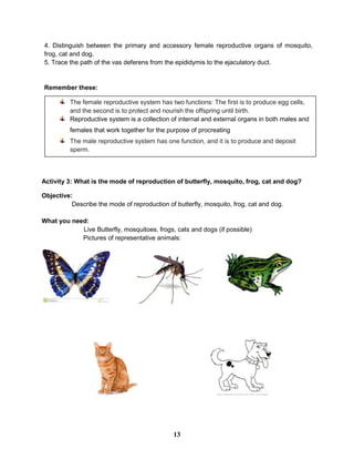 K TO 12 GRADE 5 LEARNER’S MATERIAL IN SCIENCE (Q1-Q4) | PDF