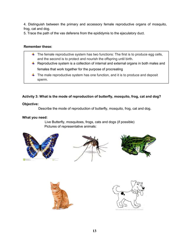 K TO 12 GRADE 5 LEARNER’S MATERIAL IN SCIENCE (Q1-Q4) | PDF | Indoor ...