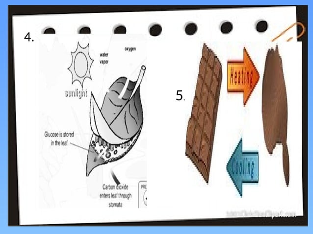 SCIENCE Q1 w4 day 1-5 powerpoint presentation | PPTX