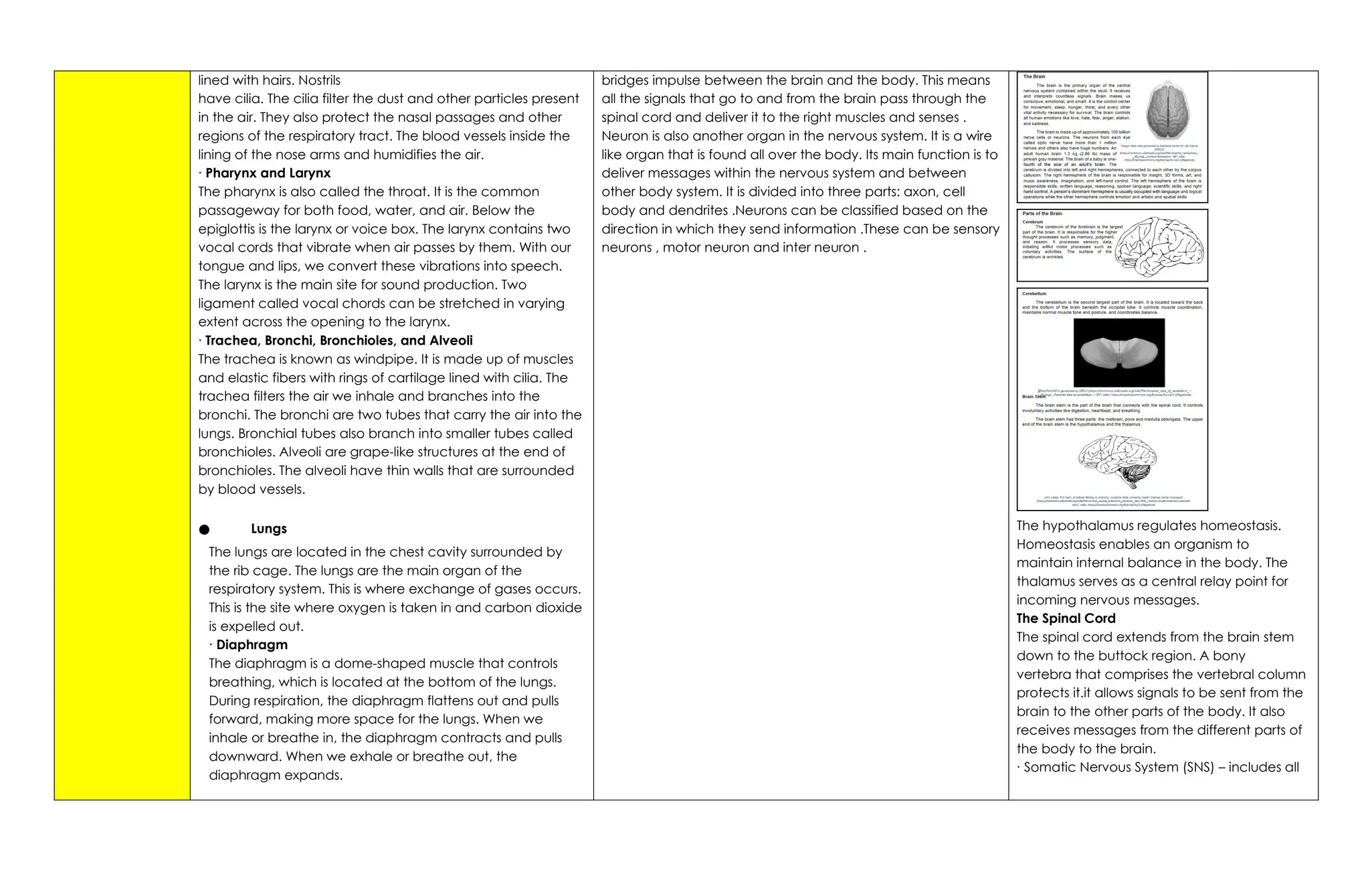 SCIENCE QUARTER TWO (2) WEEK TWO (2).docx