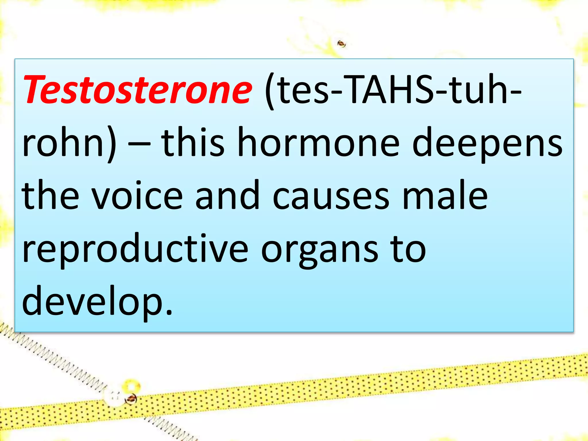 Puberty and Adolescence Stage | PPTX