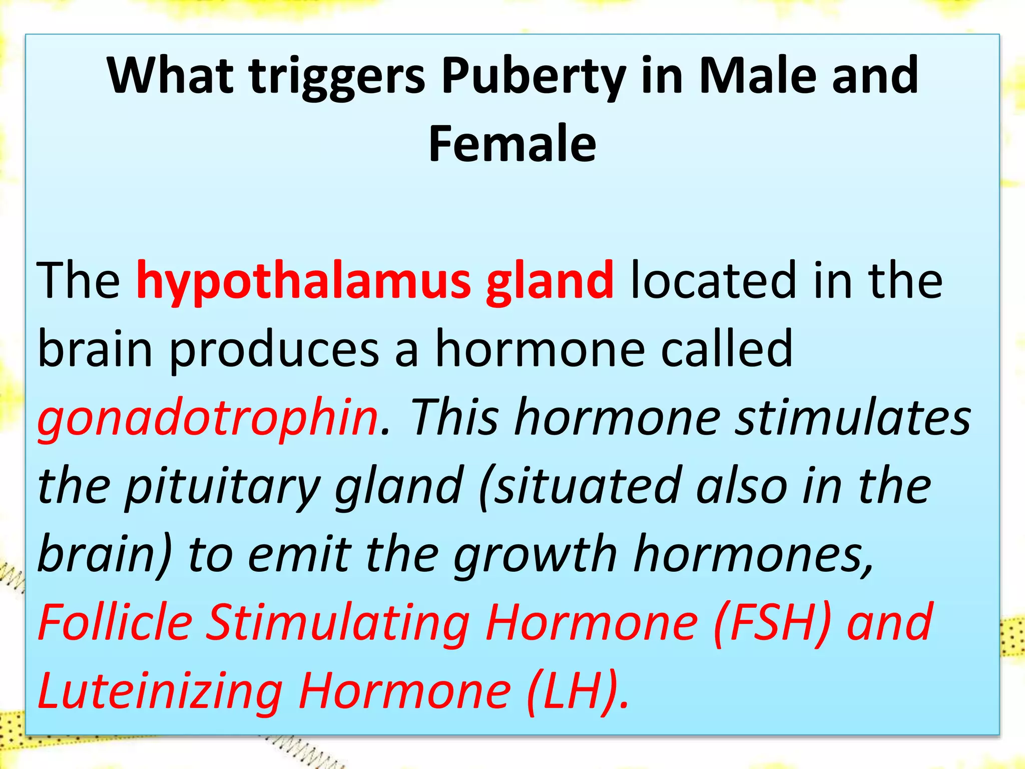 Puberty and Adolescence Stage | PPTX