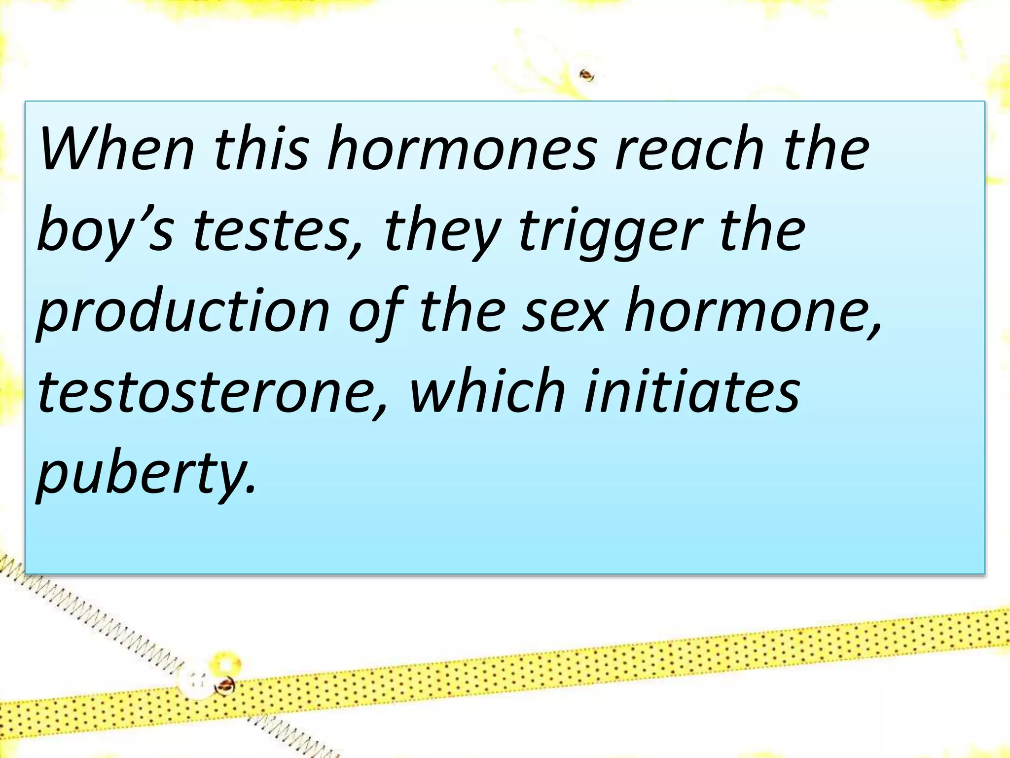 Puberty and Adolescence Stage | PPTX