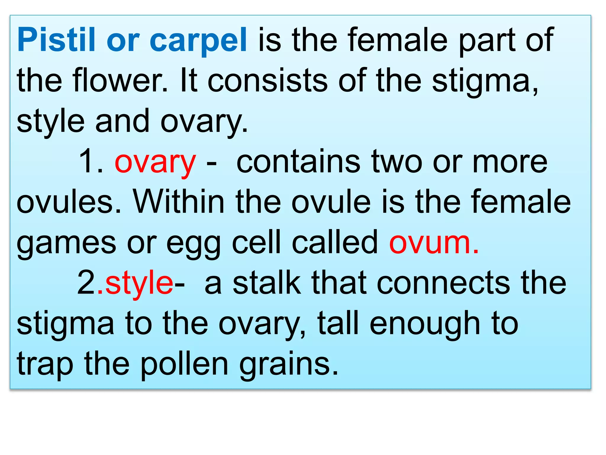 Reproductive Parts of Flowering Plants | PPTX
