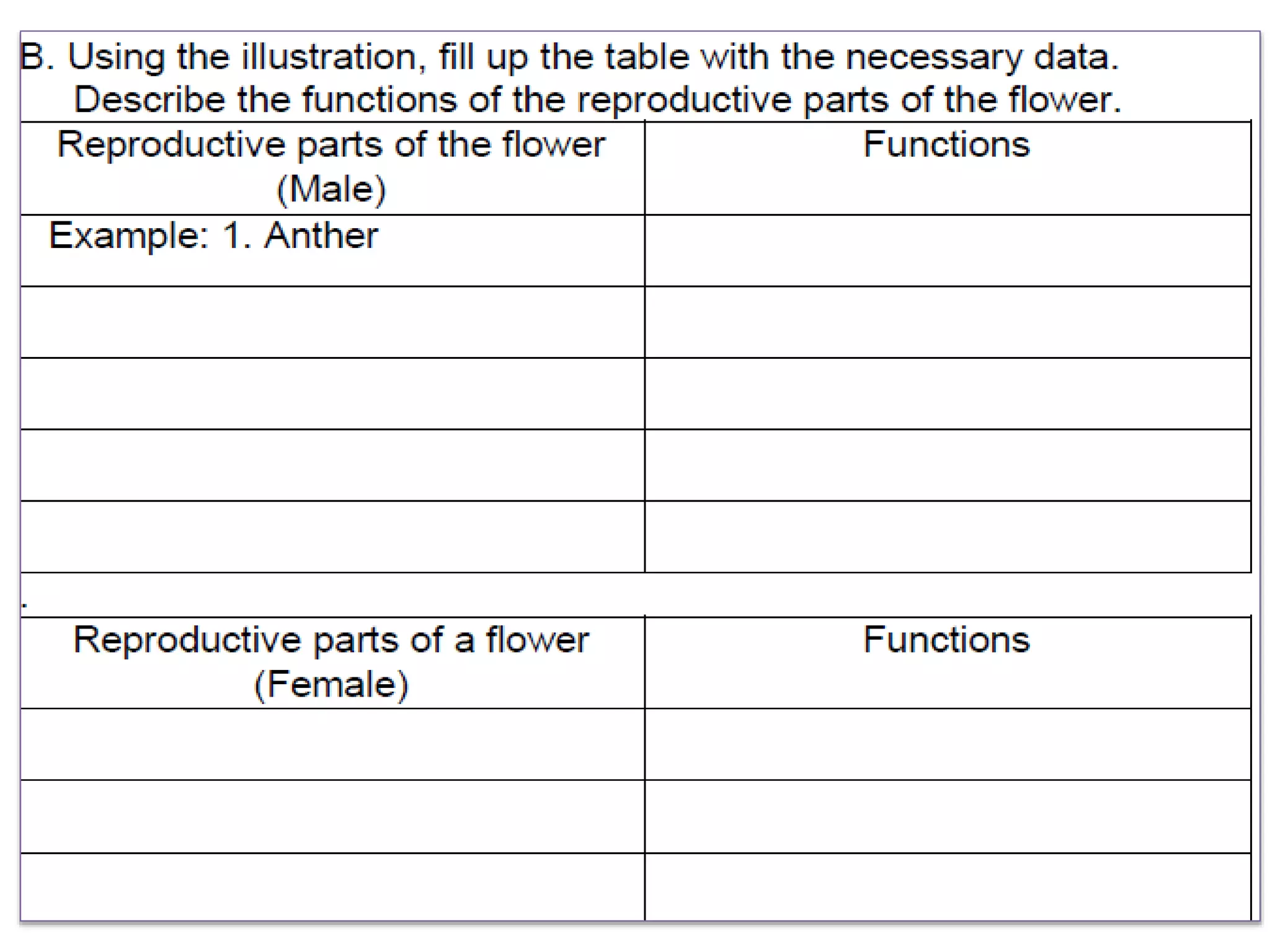 Reproductive Parts of Flowering Plants | PPTX