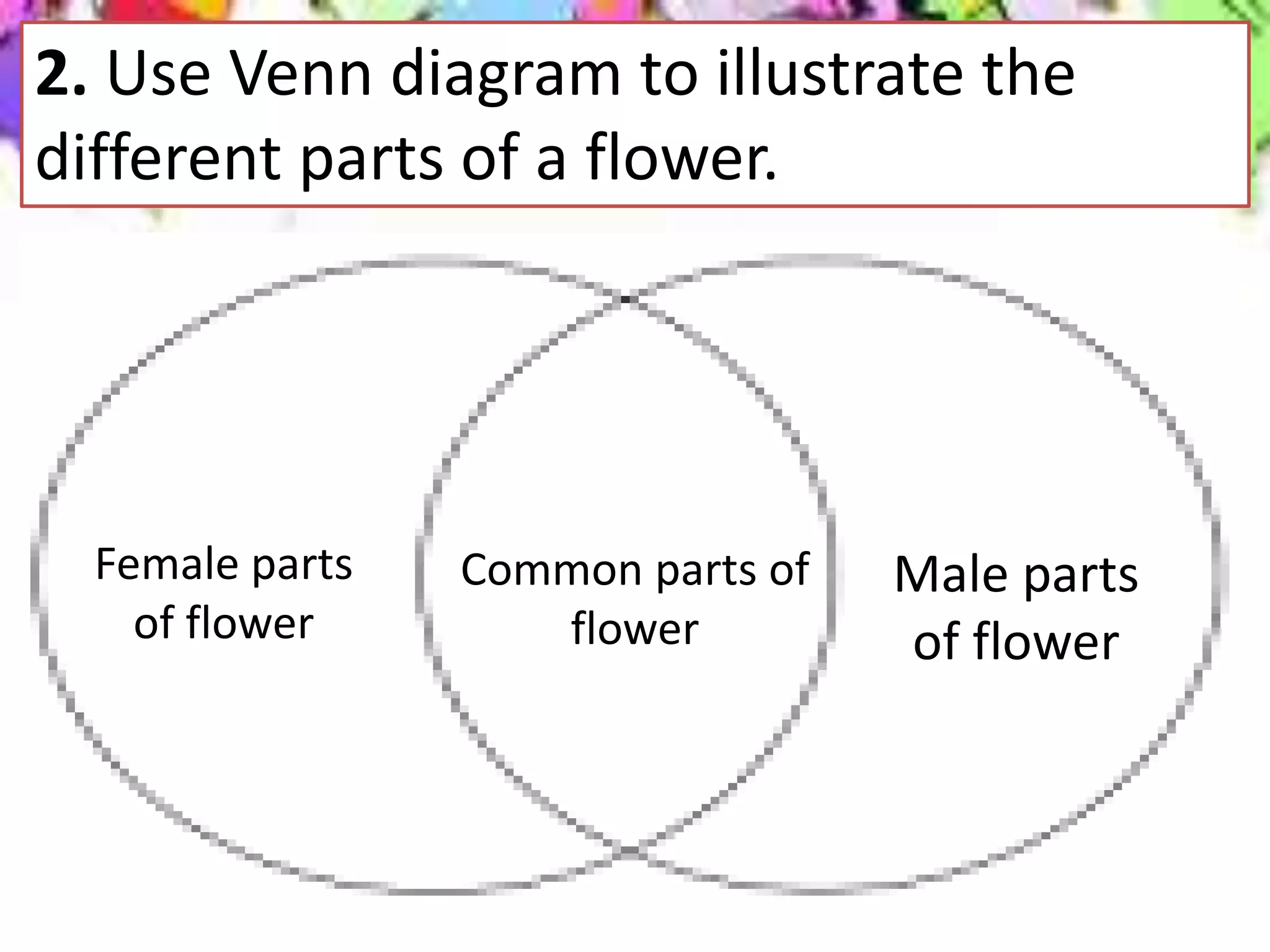 Reproductive Parts of Flowering Plants | PPTX