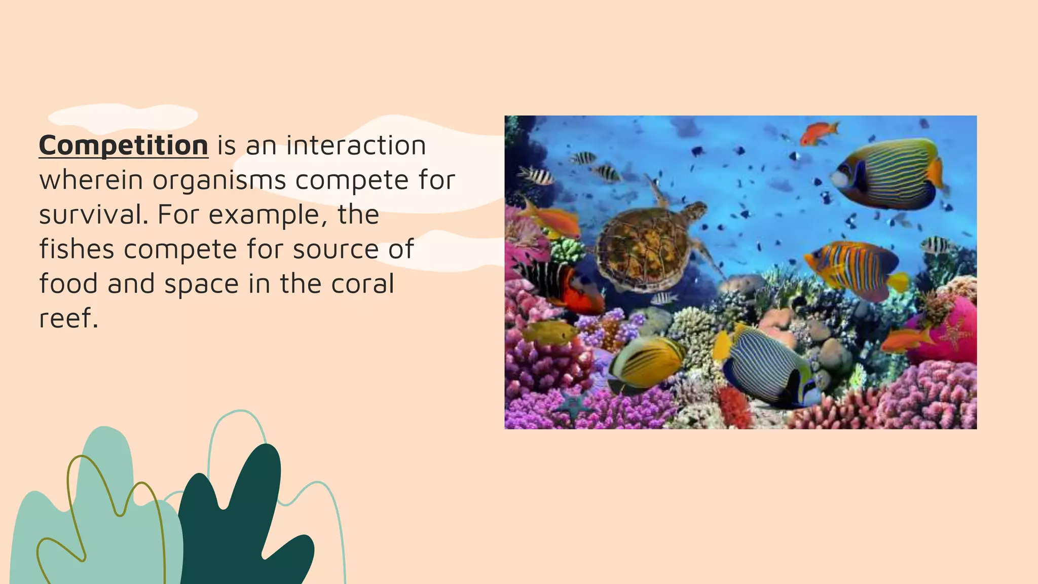 Science Quarter 2 Module 6.pptx