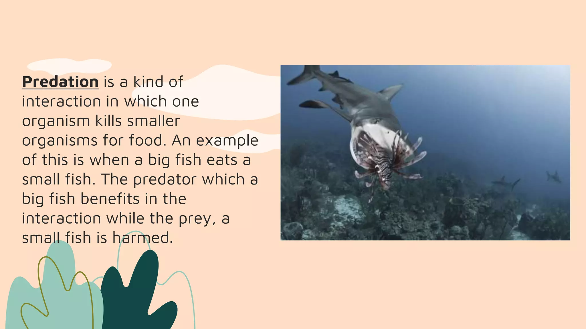 Science Quarter 2 Module 6.pptx