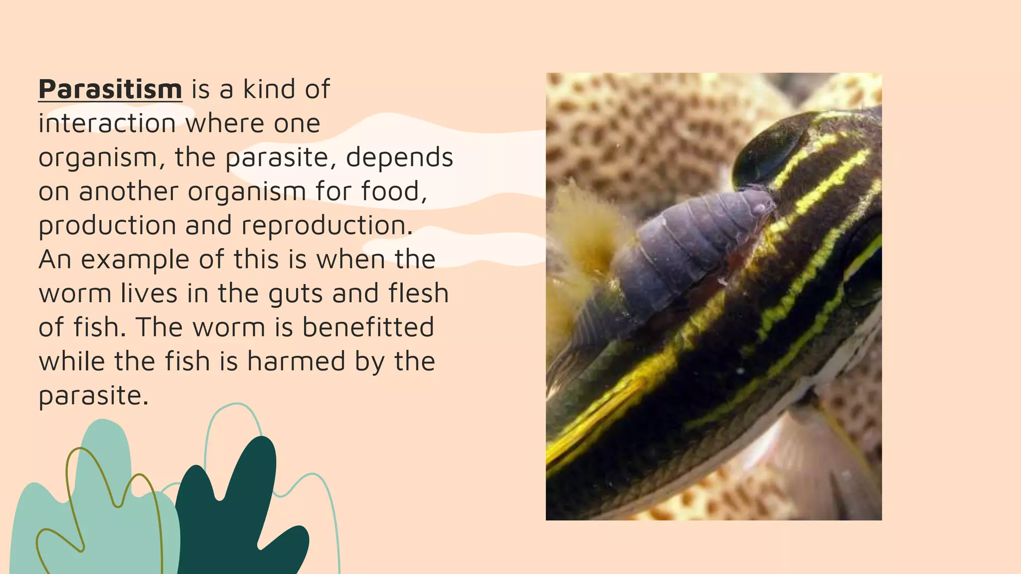 Science Quarter 2 Module 6.pptx