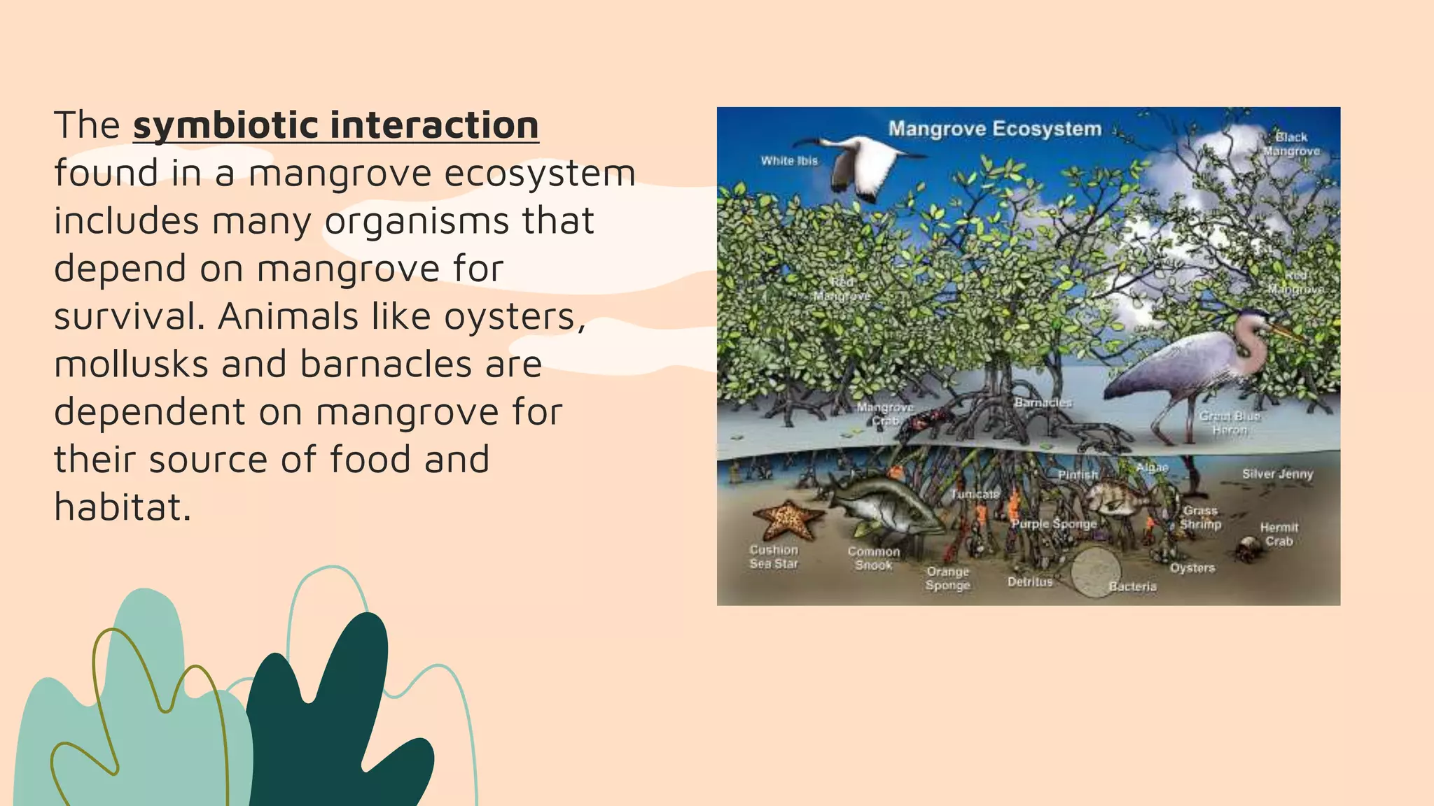 Science Quarter 2 Module 6.pptx