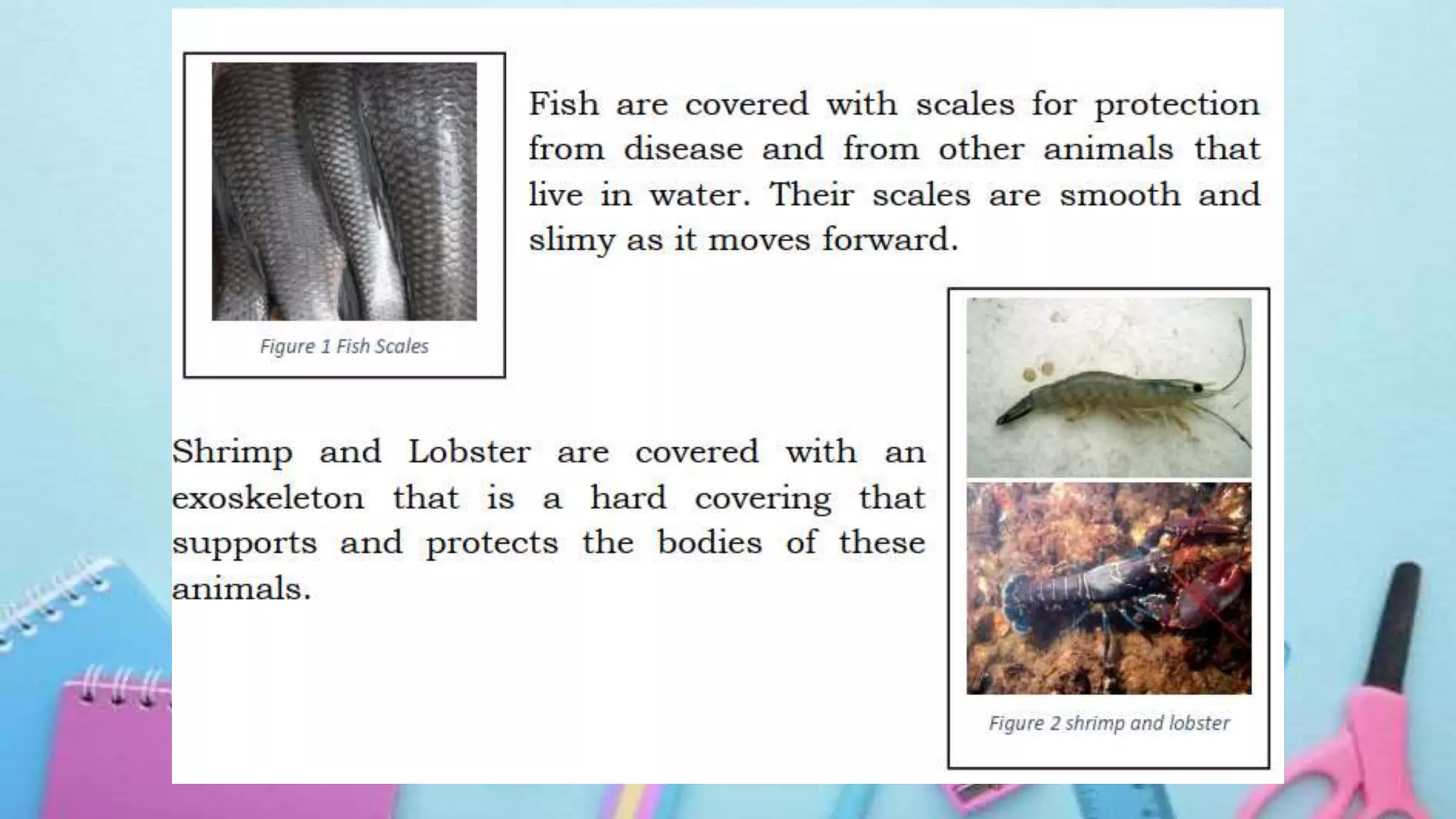 Science Quarter 2 Week 3.pptx