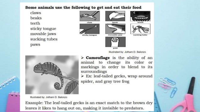 Science Quarter 2 Week 3.pptx