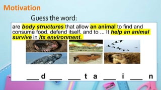 Science Quarter 2 Week 3.pptx