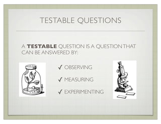 Science Questions | PDF