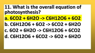 SCIENCE_QUIZ_BEE_for_Grade-9students.pptx | Lung and Respiratory Health ...