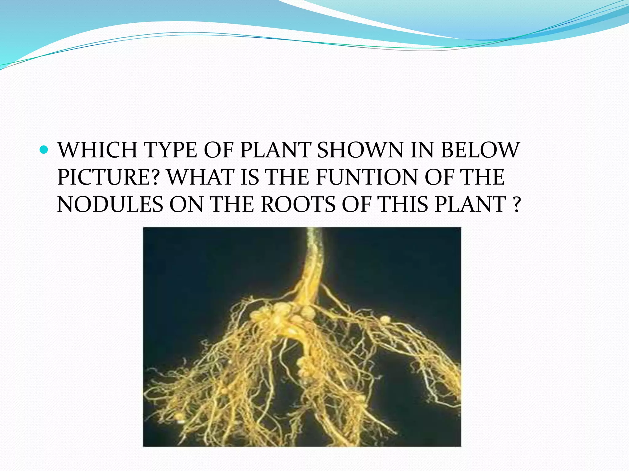 Science quiz – visual round | PPTX