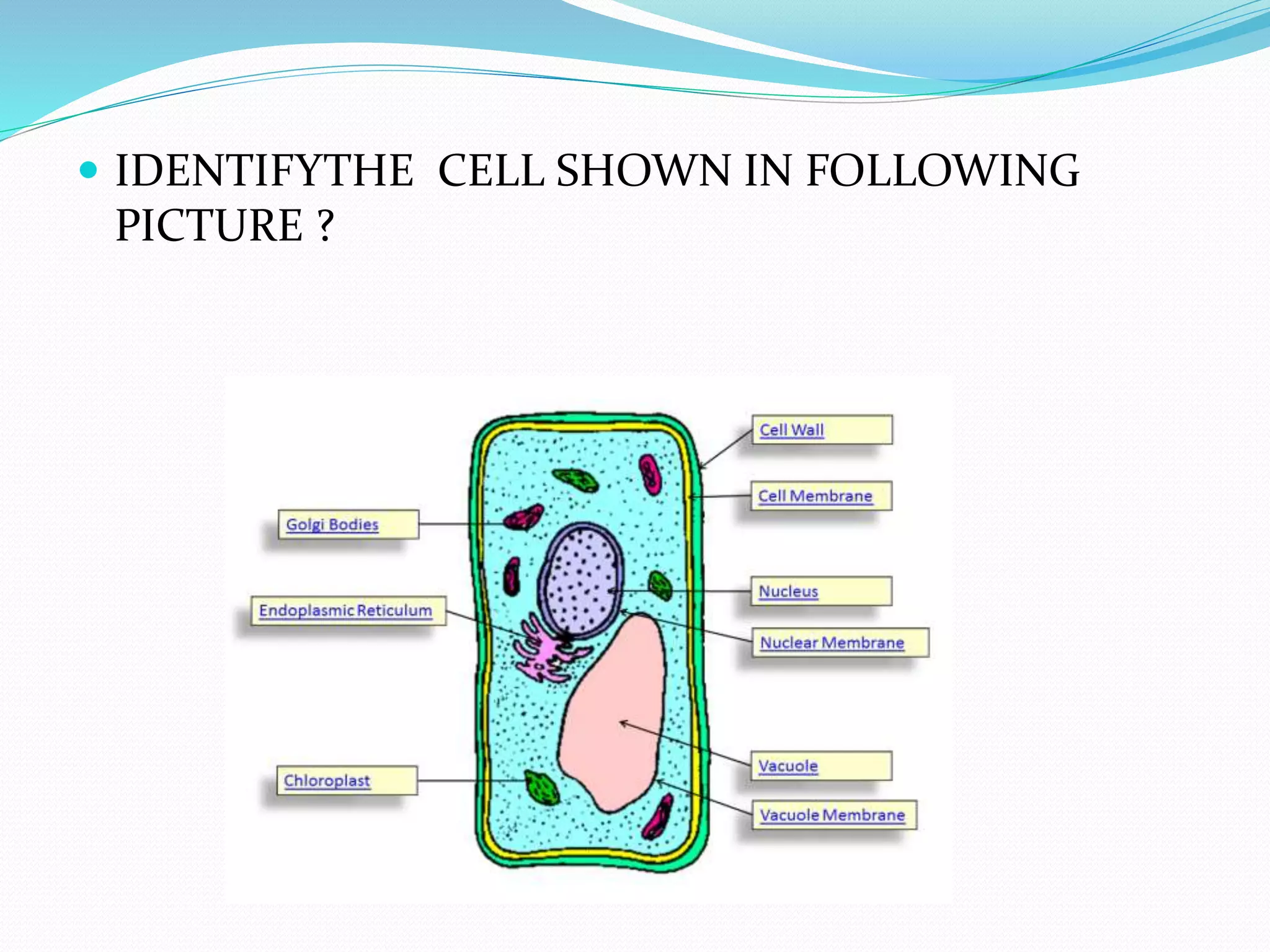 Science quiz – visual round | PPTX