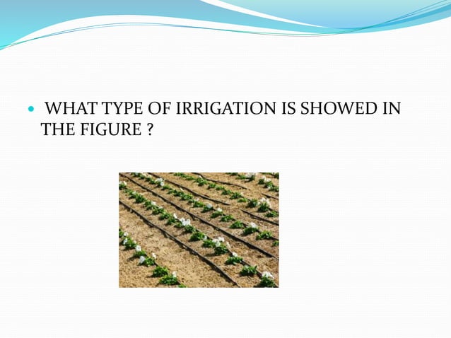 Science quiz – visual round | PPTX
