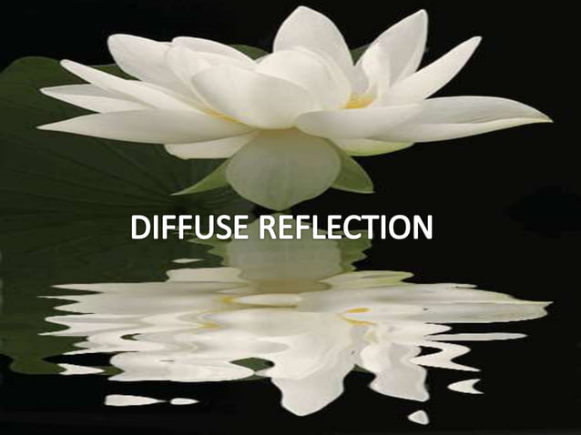 Science: reflection | PPT