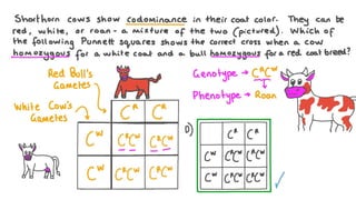Science Report grade 9 lesson codominance | PPTX