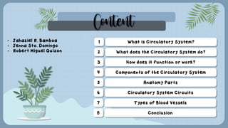 Science Report - Circulatory System.pptx
