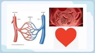 Science Report - Circulatory System.pptx
