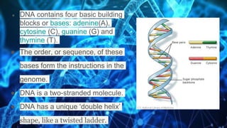 DNA | PPTX