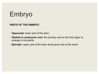 Reproduction in plants | PPTX