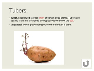 Reproduction in plants | PPTX