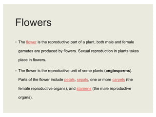 Reproduction in plants | PPTX