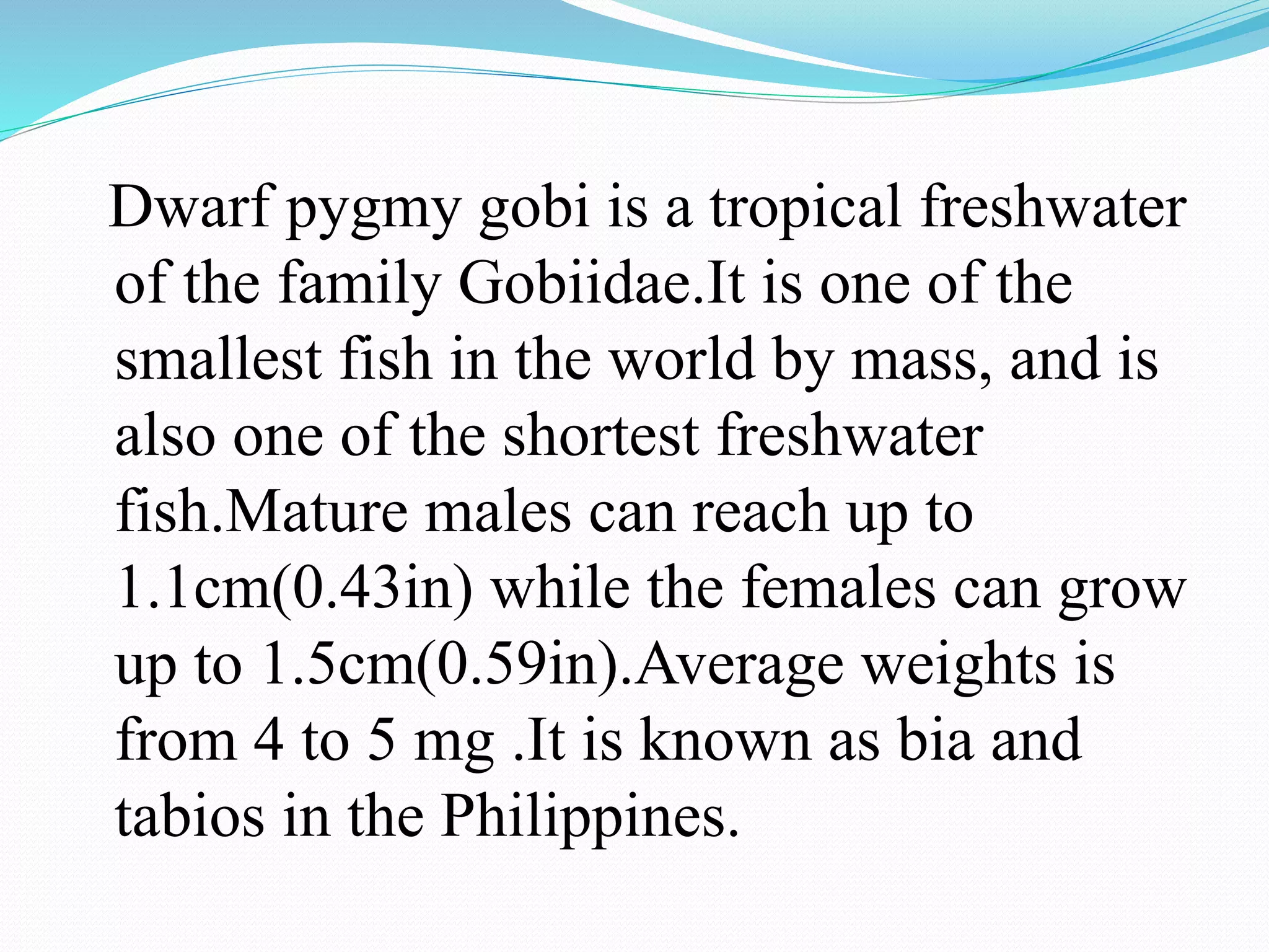 endemic freshwater fishes in the philippines | PPTX